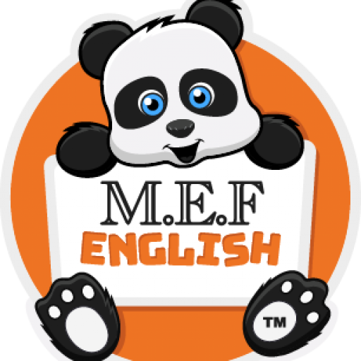 Company - MEF English What is MEF International Limited?